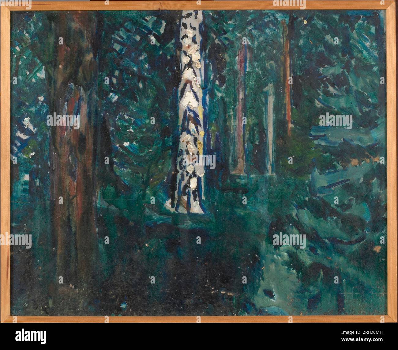 Forest with Birch Trunks 1930s by Edvard Munch Stock Photo - Alamy