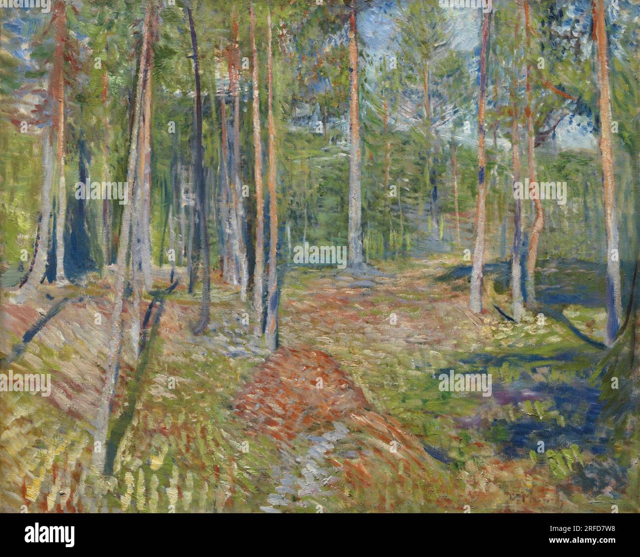 Pine Forest 1890s by Edvard Munch Stock Photo - Alamy