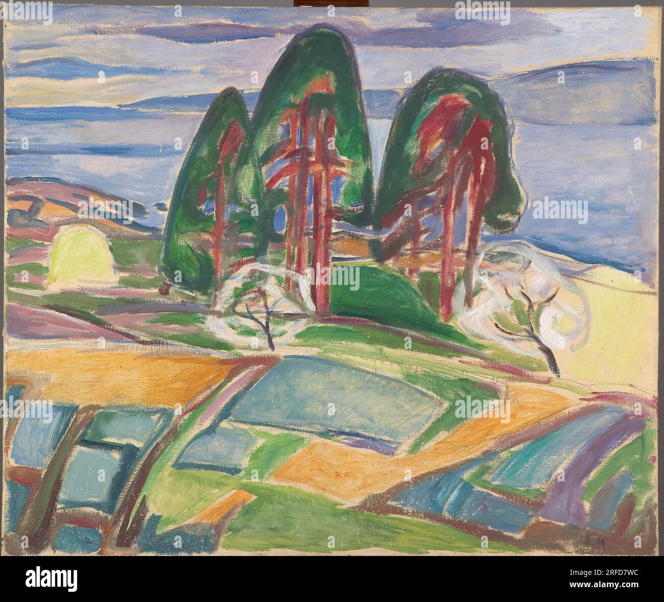 Pine Trees and Fruit Trees in Blossom 1911 by Edvard Munch Stock Photo ...