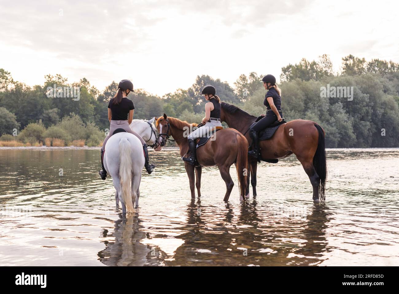 Three rider girls crossing the calm river water riding their beautiful ...