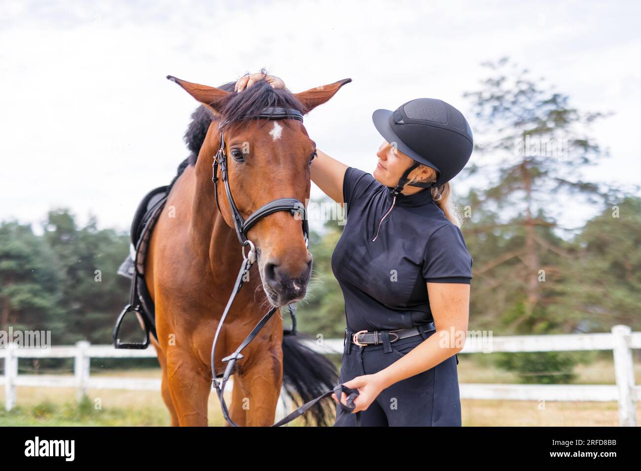 Woman with a black helmet stroking a beautiful chestnut horse head ...
