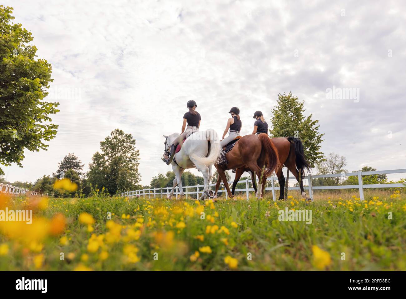 Three horsewomen enjoy riding beautiful horses, side by side along the ...