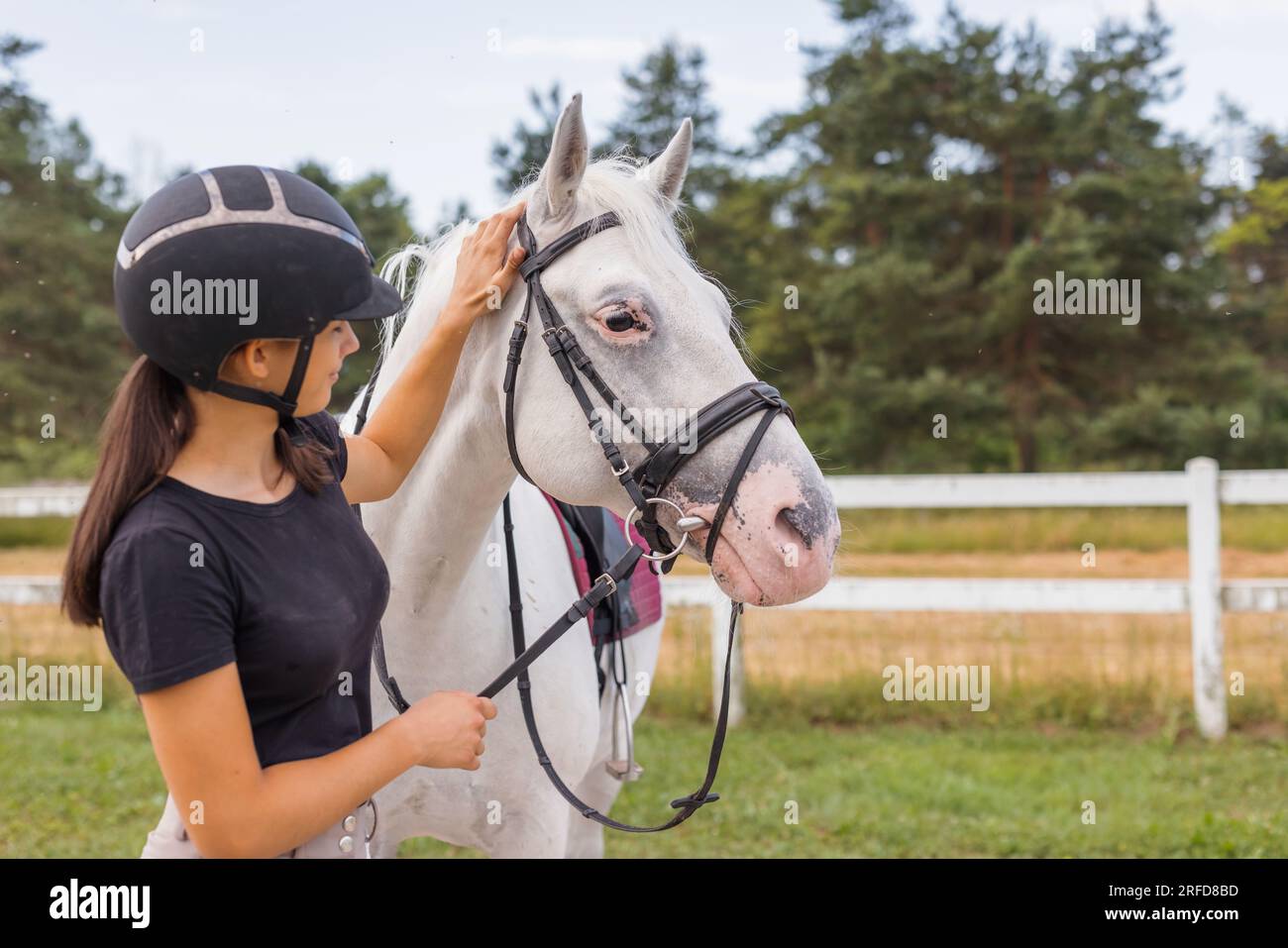 Woman with a black helmet stroking a beautiful chestnut horse head ...