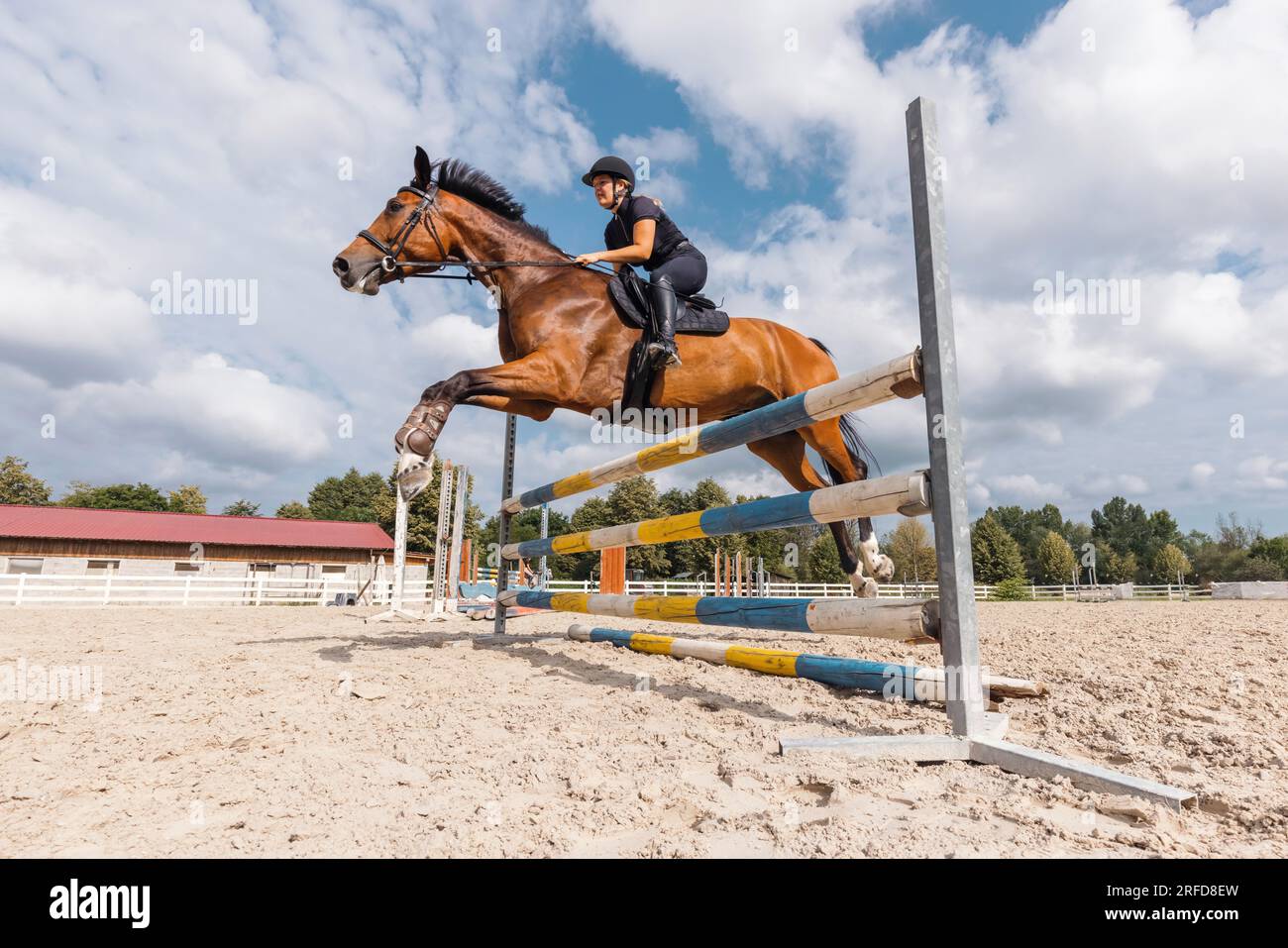Female horseback rider jumping over a hurdle, a log fence, during ...