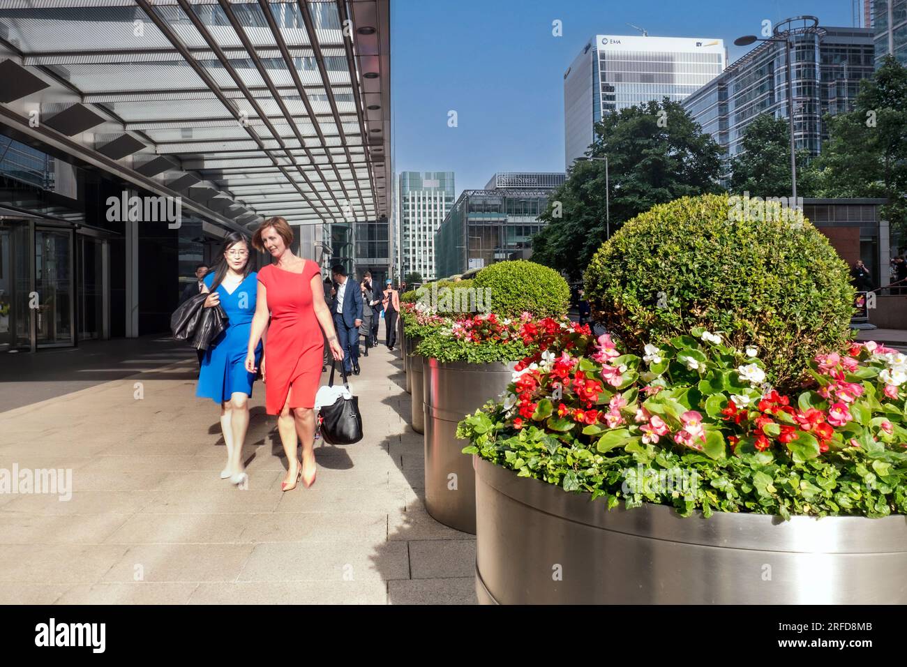 Confident female executives 26 29 years city employment environment hi ...