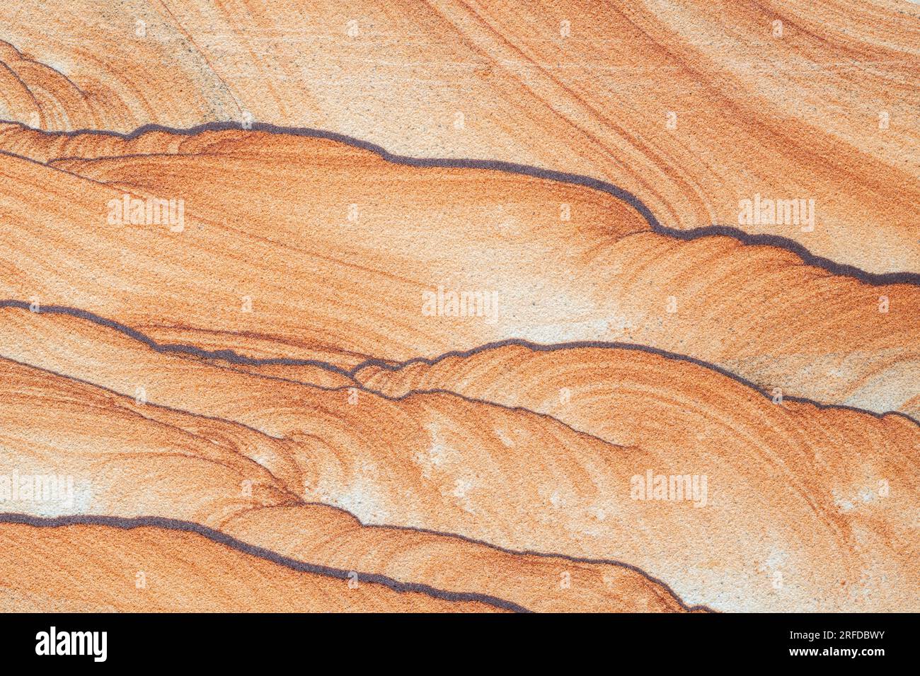Banded sandstone, detail, Arizona, USA, by Dominique Braud/Dembinsky ...