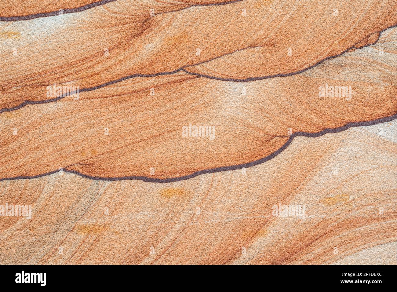 Banded sandstone, detail, Arizona, USA, by Dominique Braud/Dembinsky ...