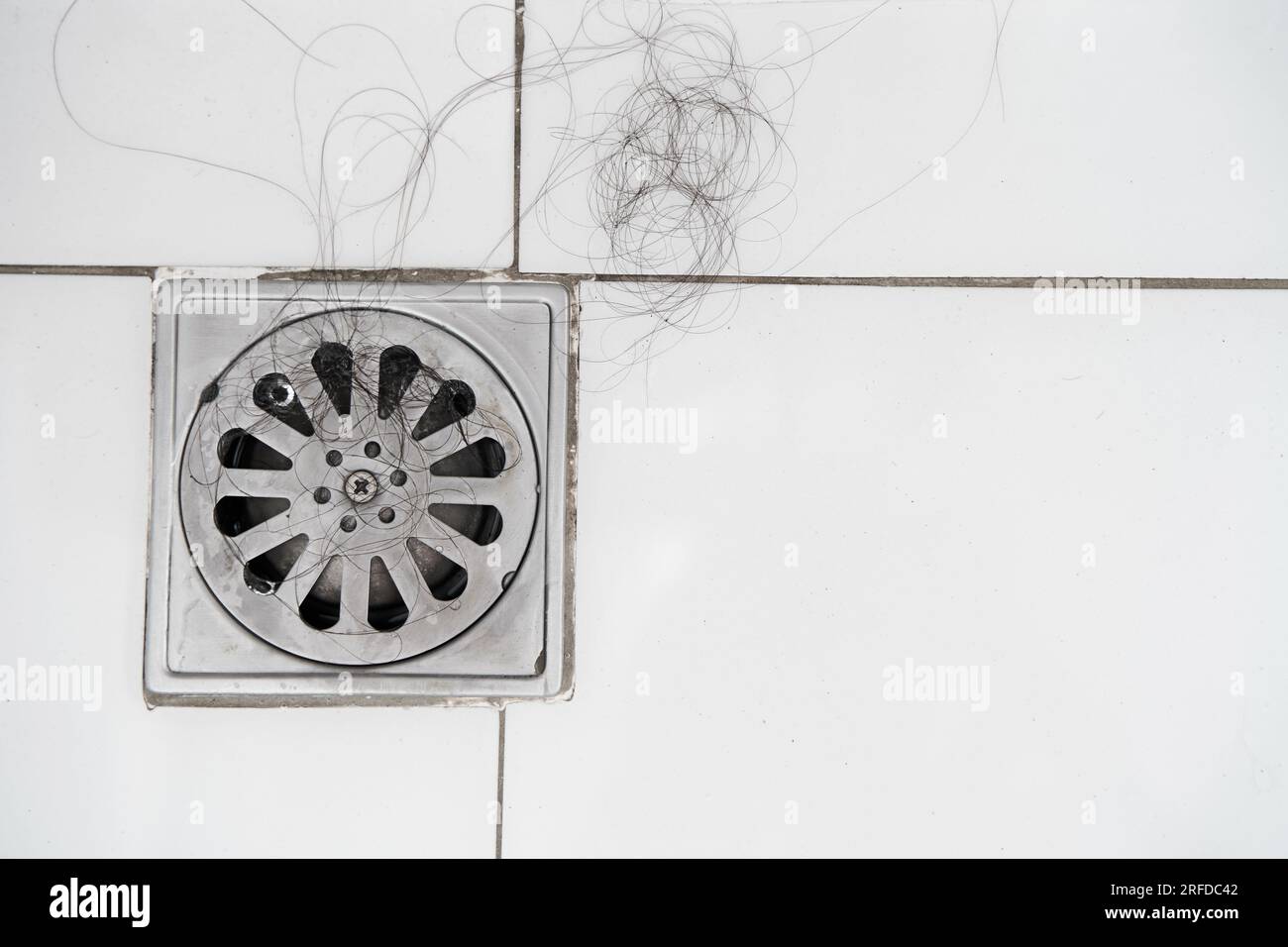 Close-up Pile of hair loss in bathroom after wash hair.hair fall ...