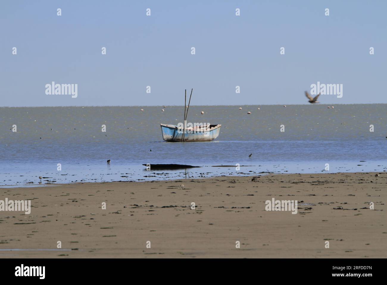 Lago popo hi-res stock photography and images - Alamy