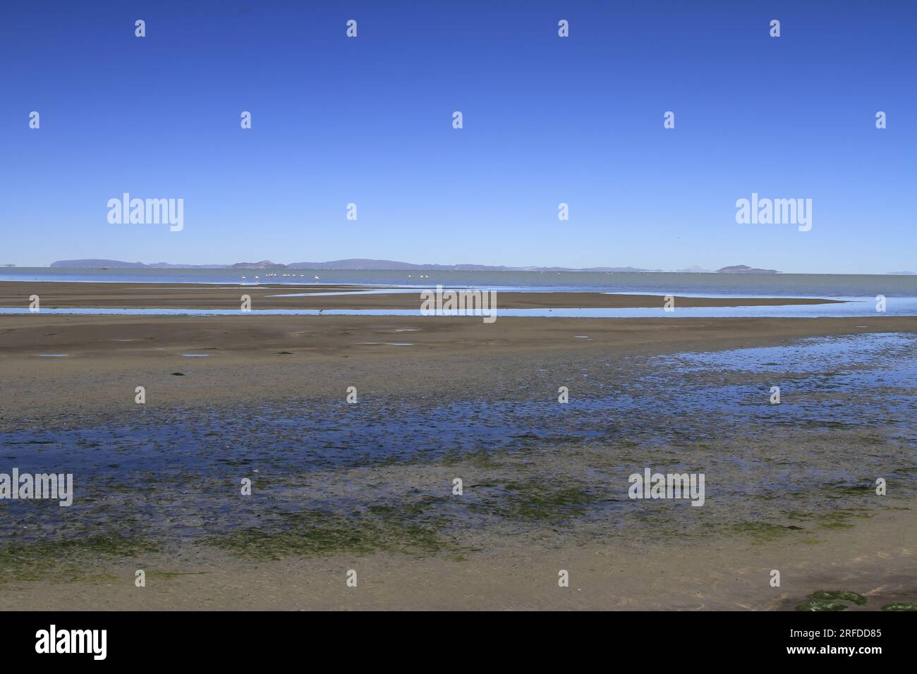 Lago Popo, Bolivia Stock Photo - Alamy