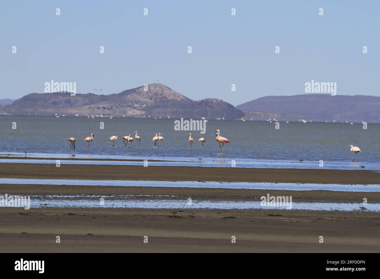 Lago Popo, Bolivia Stock Photo - Alamy