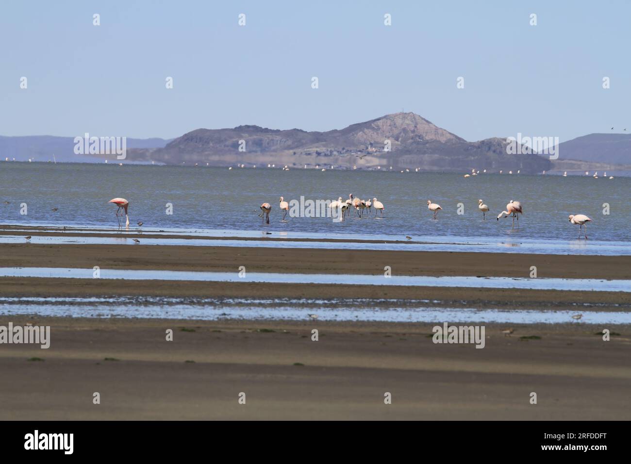 Lago Popo, Bolivia Stock Photo - Alamy