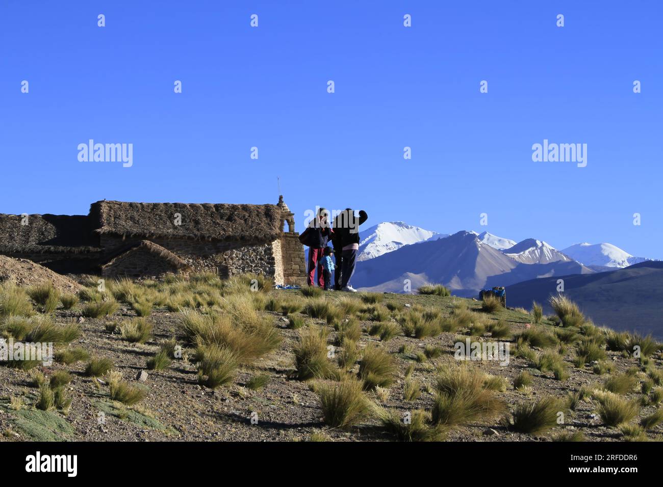 Parque National Sajama Bolivia Stock Photo - Alamy