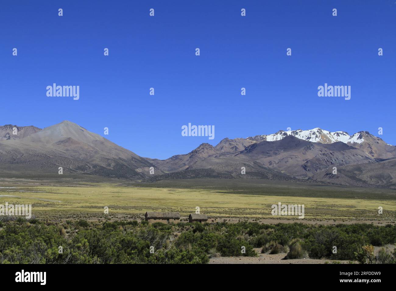 Parque Nacional Sajama Stock Photo - Alamy