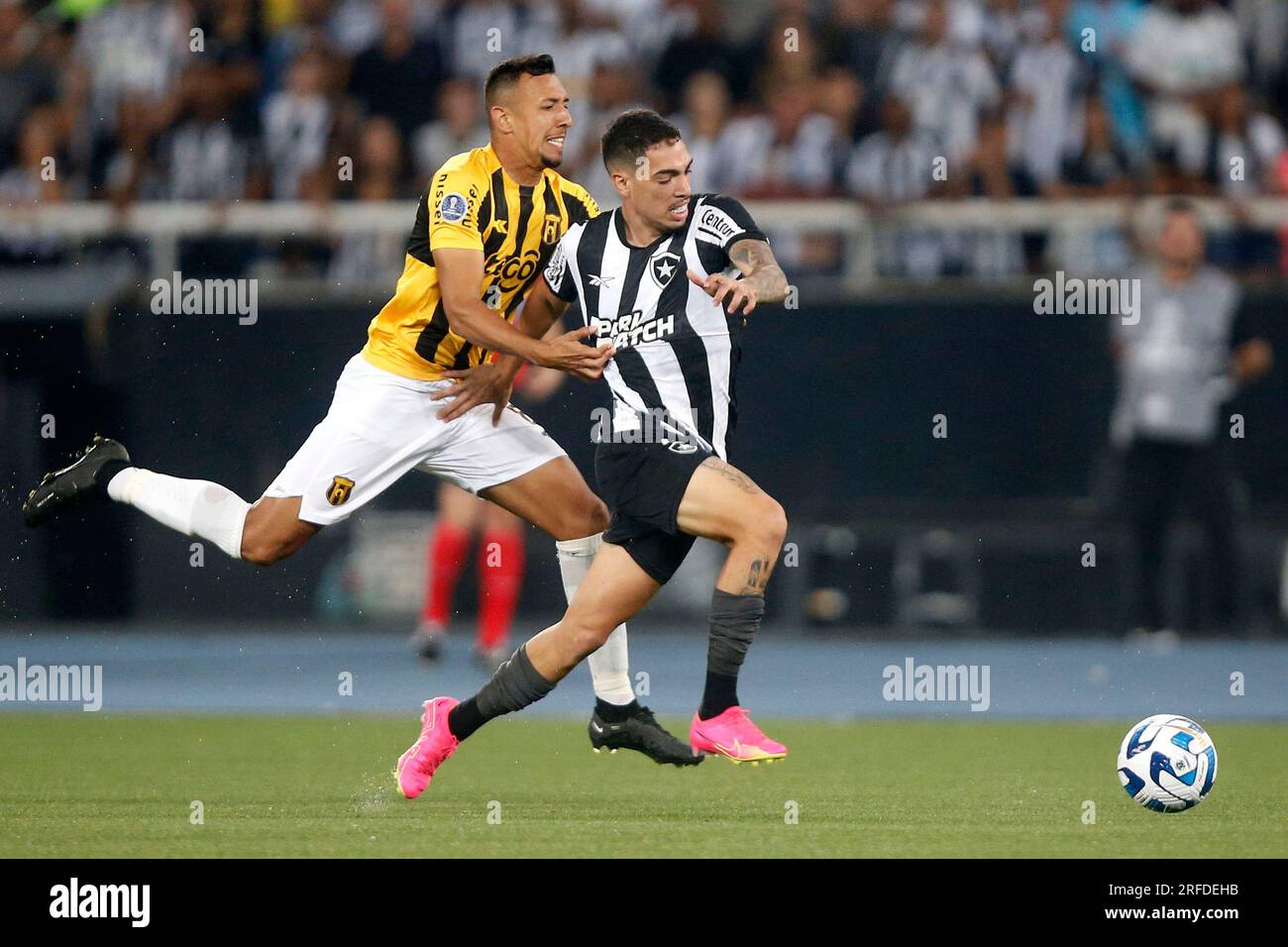 Hugo moreira hi-res stock photography and images - Alamy