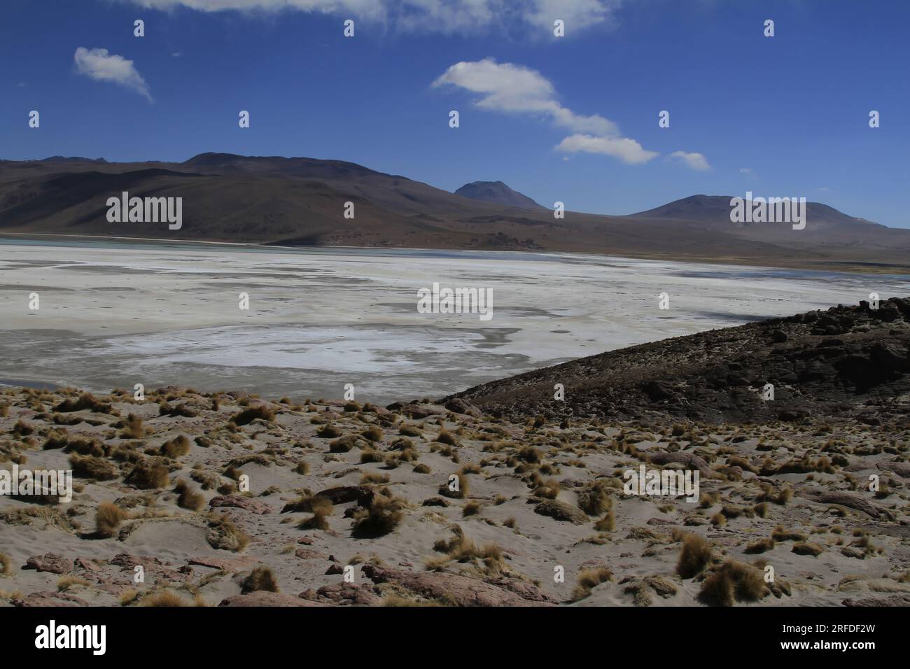 Eduardo Alveroa, Uyuni Bolivia Stock Photo - Alamy