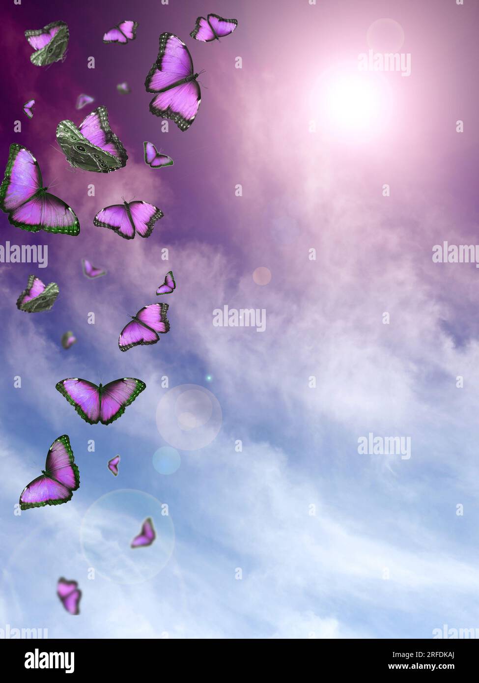 Flying Beautiful Butterflies