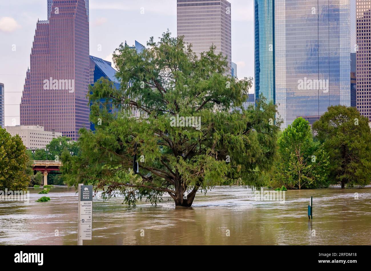 Houston hurricane aftermath flooding downtown hi-res stock photography ...