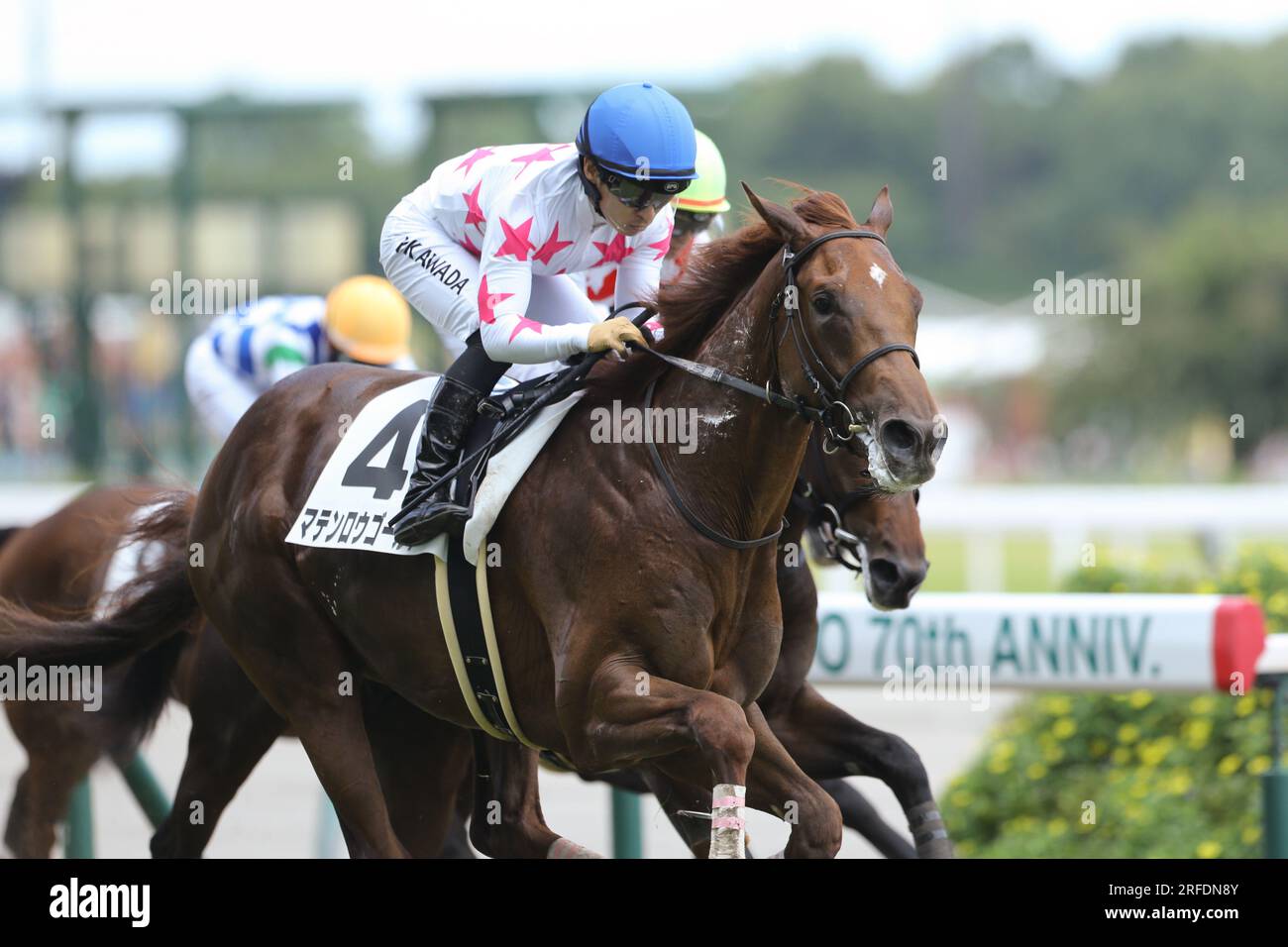 Aichi, Japan. 23rd July, 2023. 2023/07/23 CHUKYO 05R Matenro Gold and ...