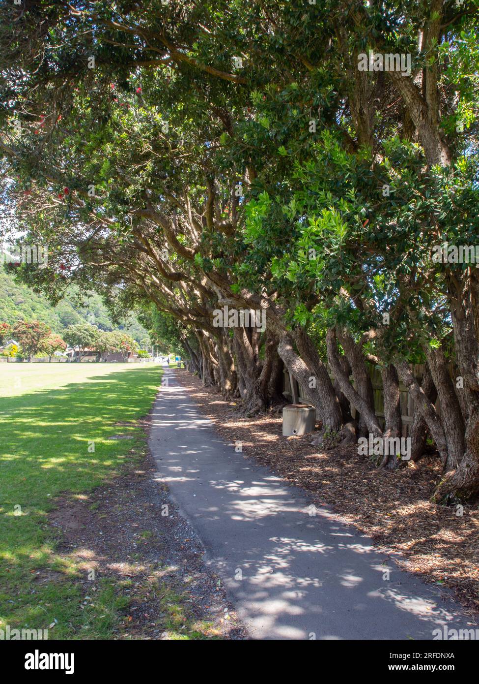 Pavement lined hi-res stock photography and images - Alamy