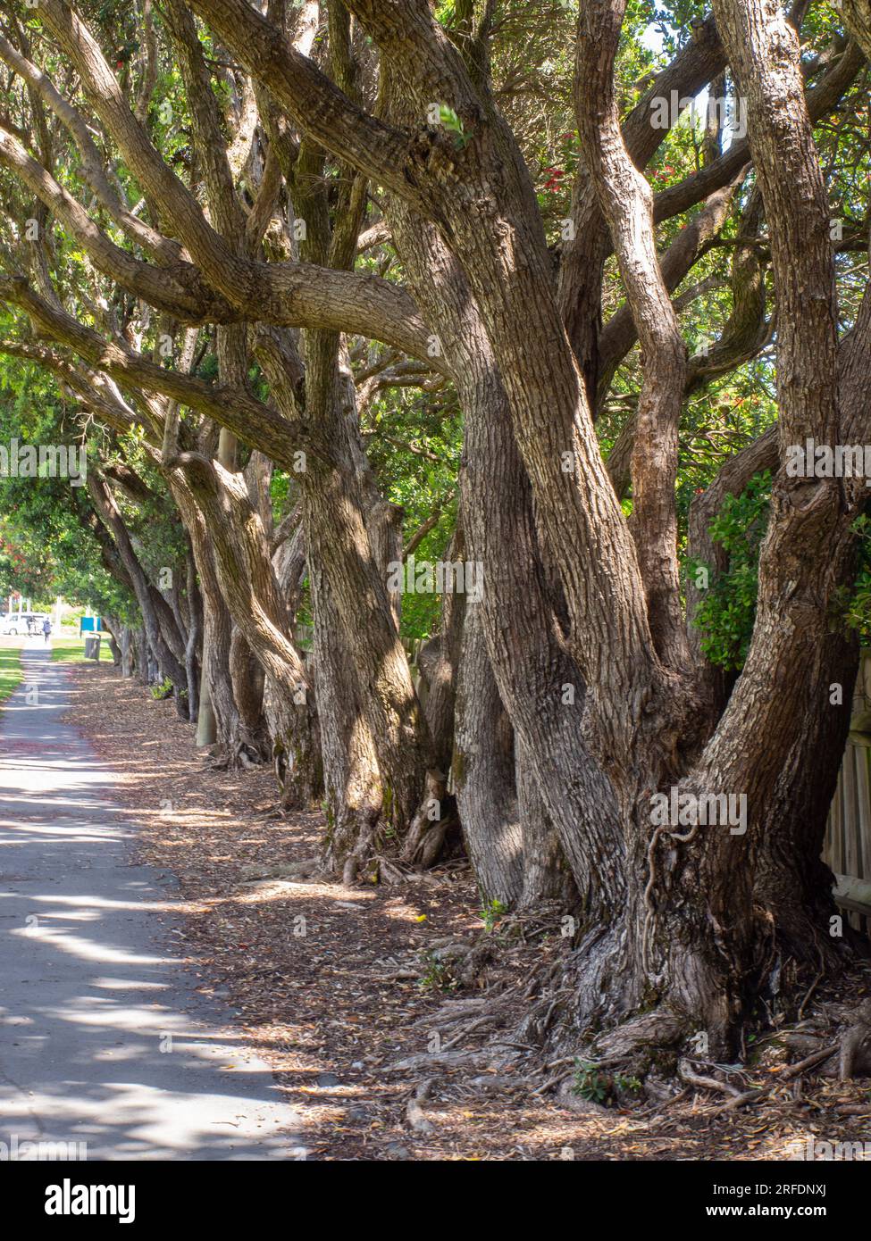 Path pavement grass hi-res stock photography and images - Alamy
