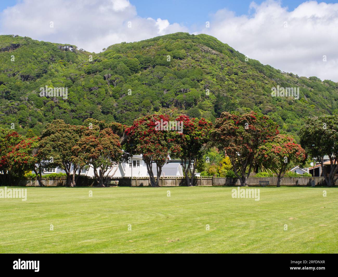 Park grounds hi-res stock photography and images - Alamy