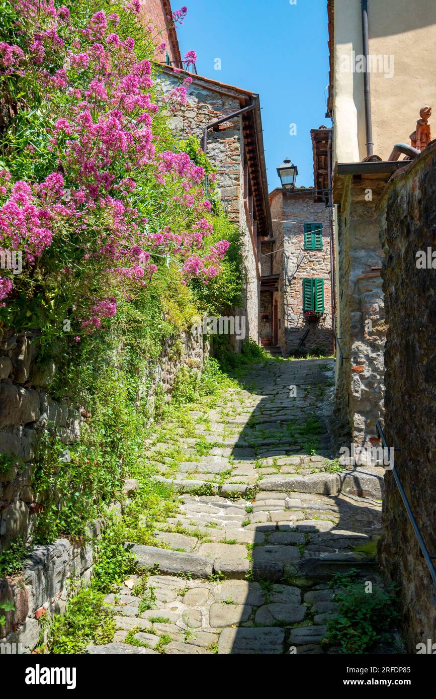 Pedestrian Alley in Collodi - Italy Stock Photo - Alamy