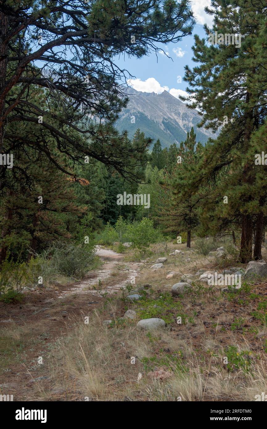 A little road in the woods that beckons the explorer to find out where ...