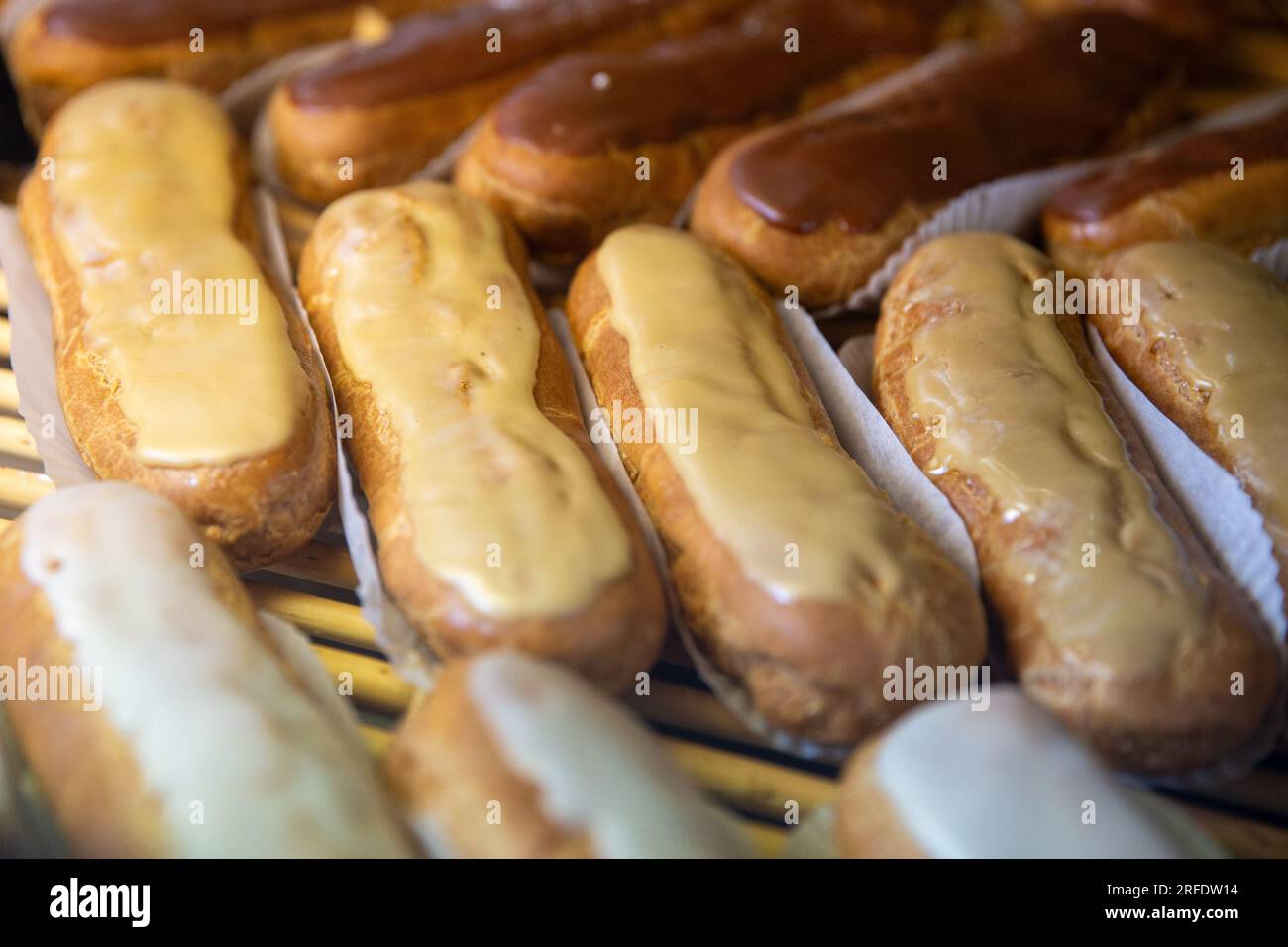 Various tooth types hi-res stock photography and images - Alamy