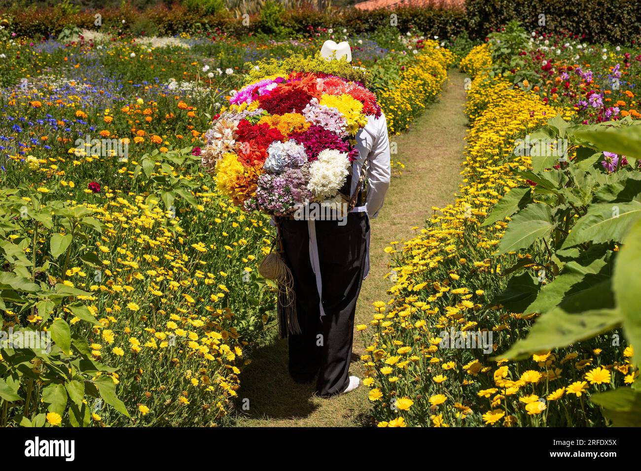 Medellín is partying, the flower fair returns with the parade of ...