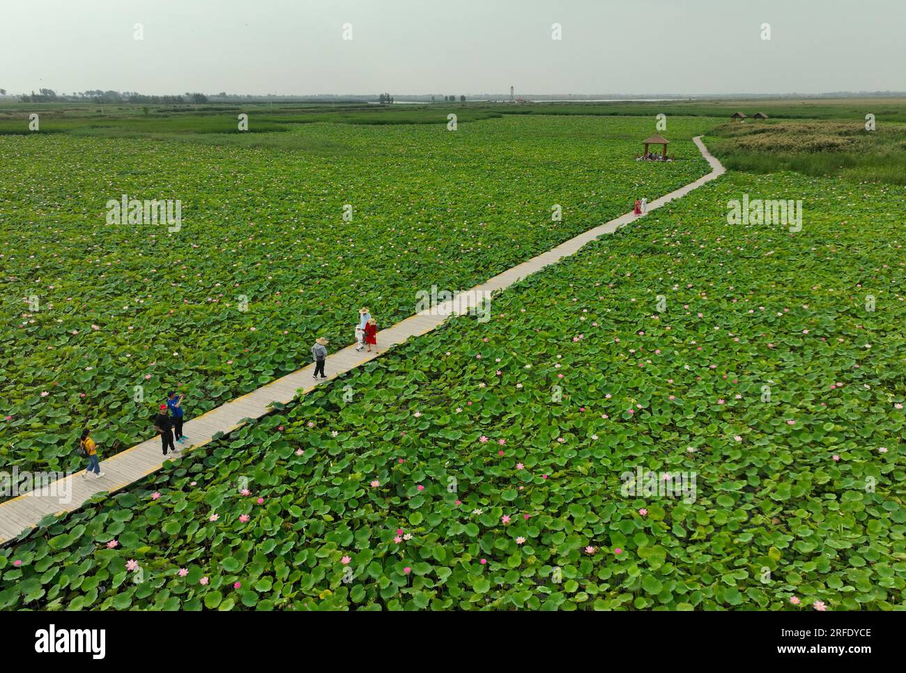 Mingcui lake national wetland park hi-res stock photography and images ...