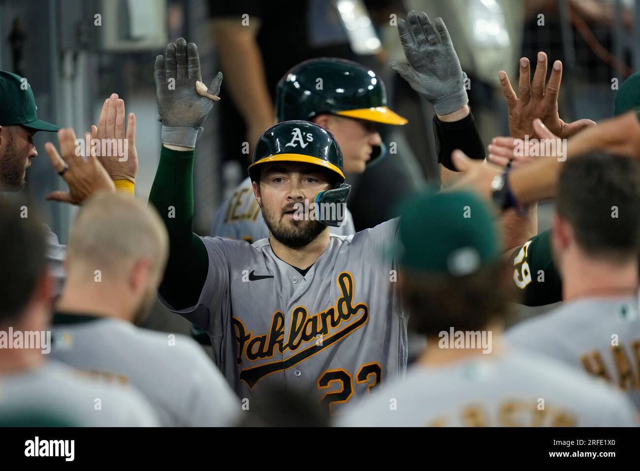 Oakland Athletics' Shea Langeliers (23) celebrates in the dugout after ...