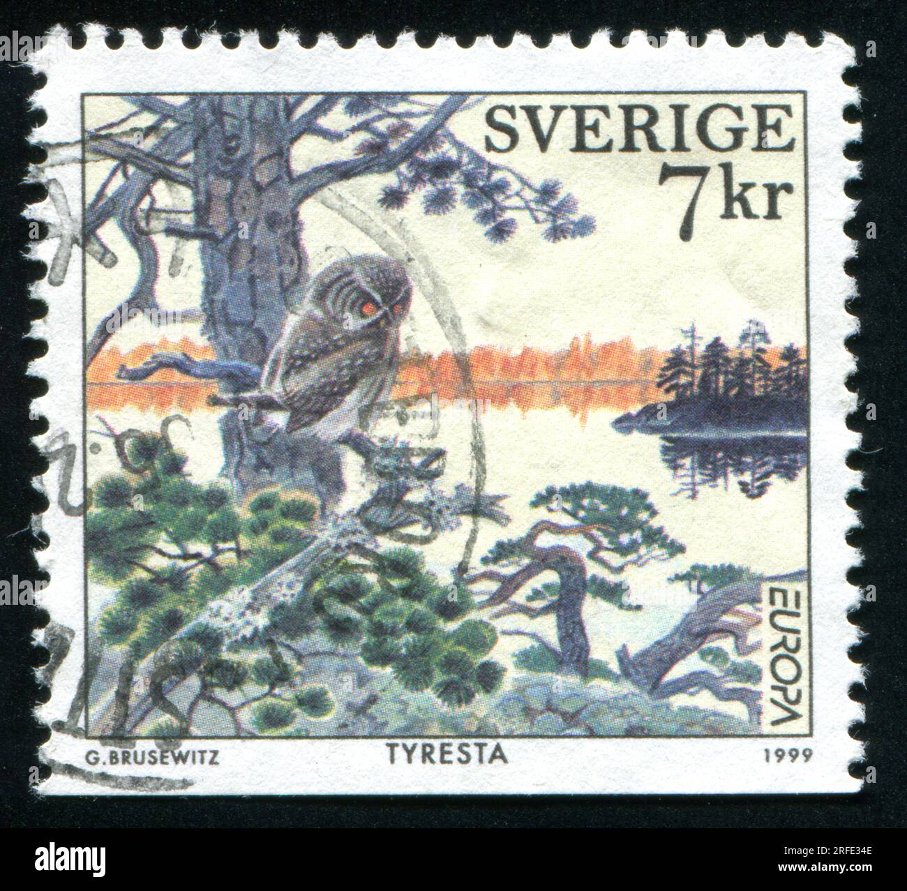 Tyresta national park sweden hi-res stock photography and images - Alamy