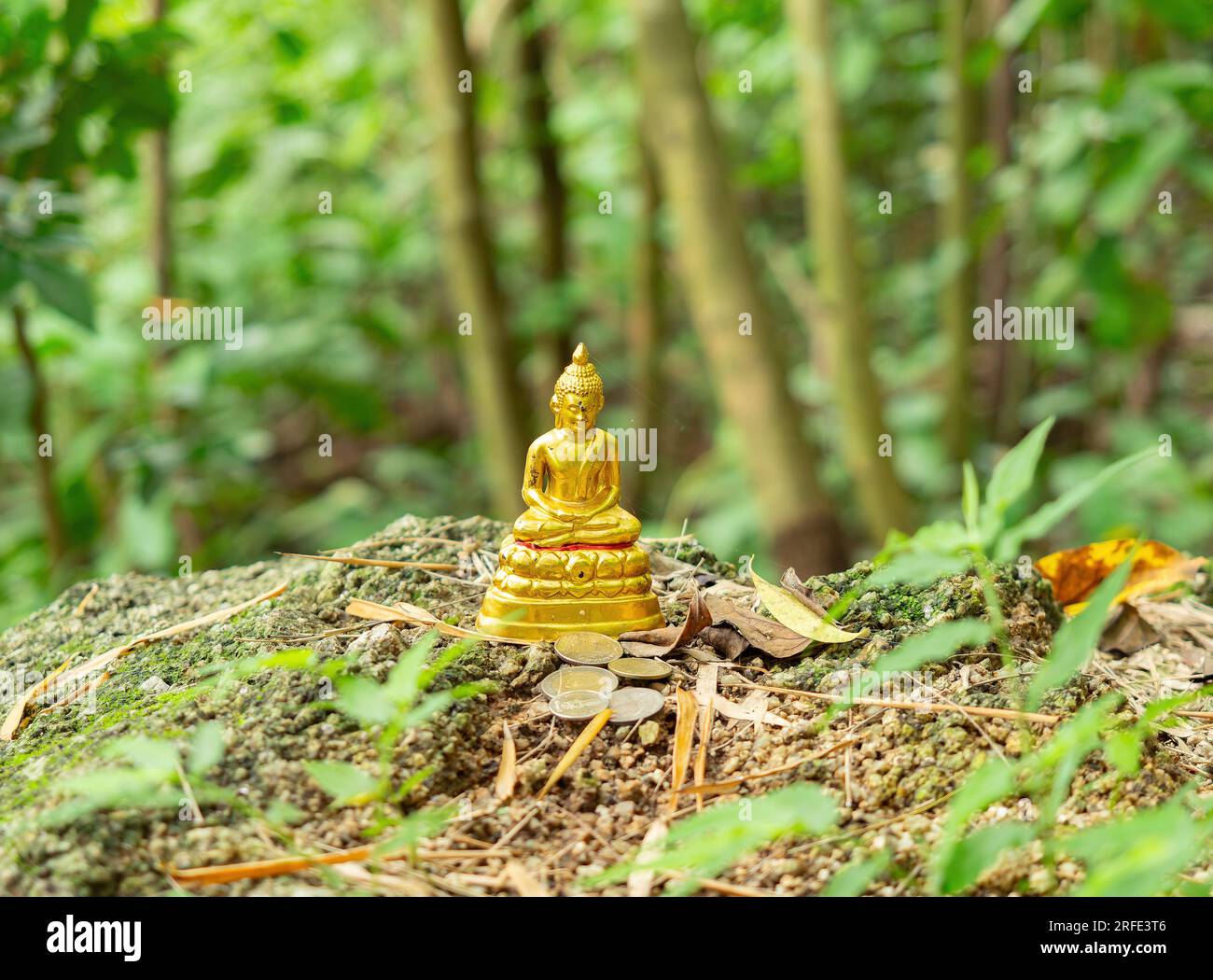 Tiny Buddha image at a forest in Thailand. There are coins in front of ...