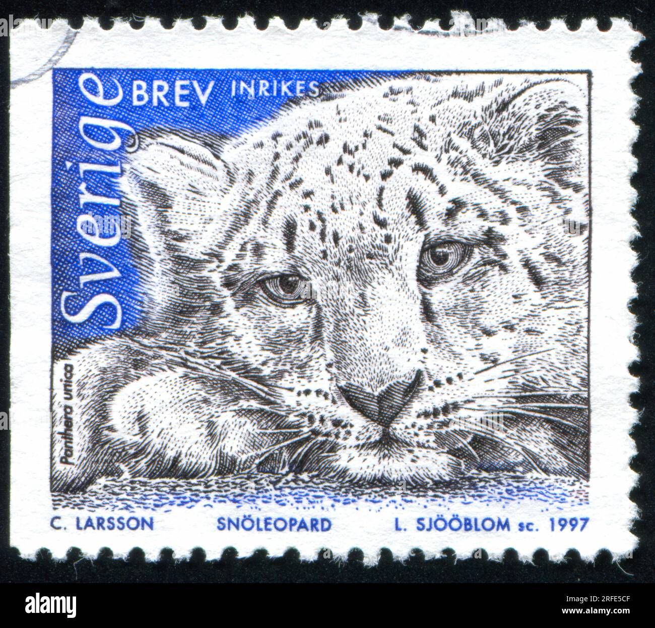SWEDEN - CIRCA 1997: stamp printed by Sweden, shows Snow leopard, adult ...