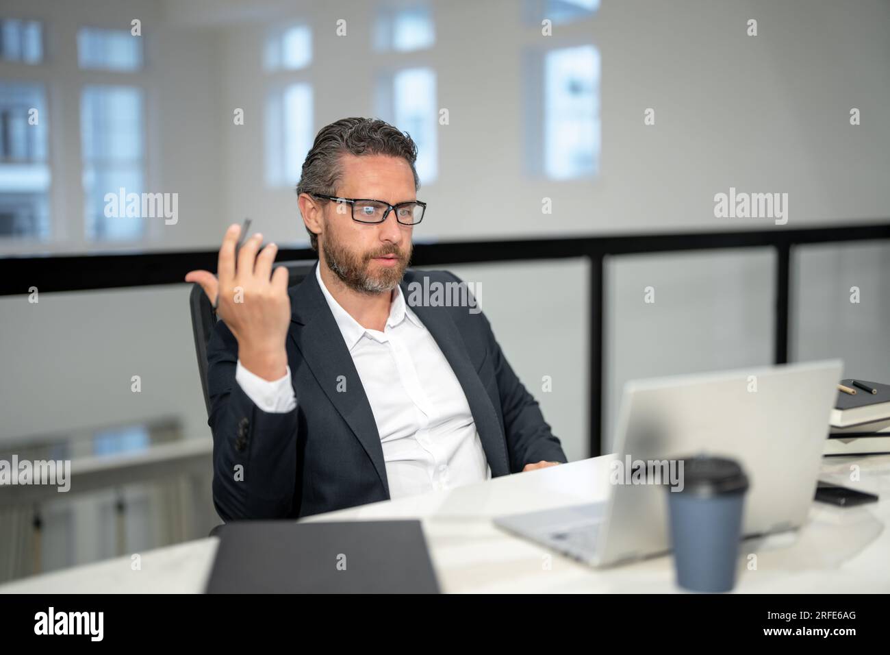 Handsome 40s business man working with laptop in office. Gray hair mature business man director ...