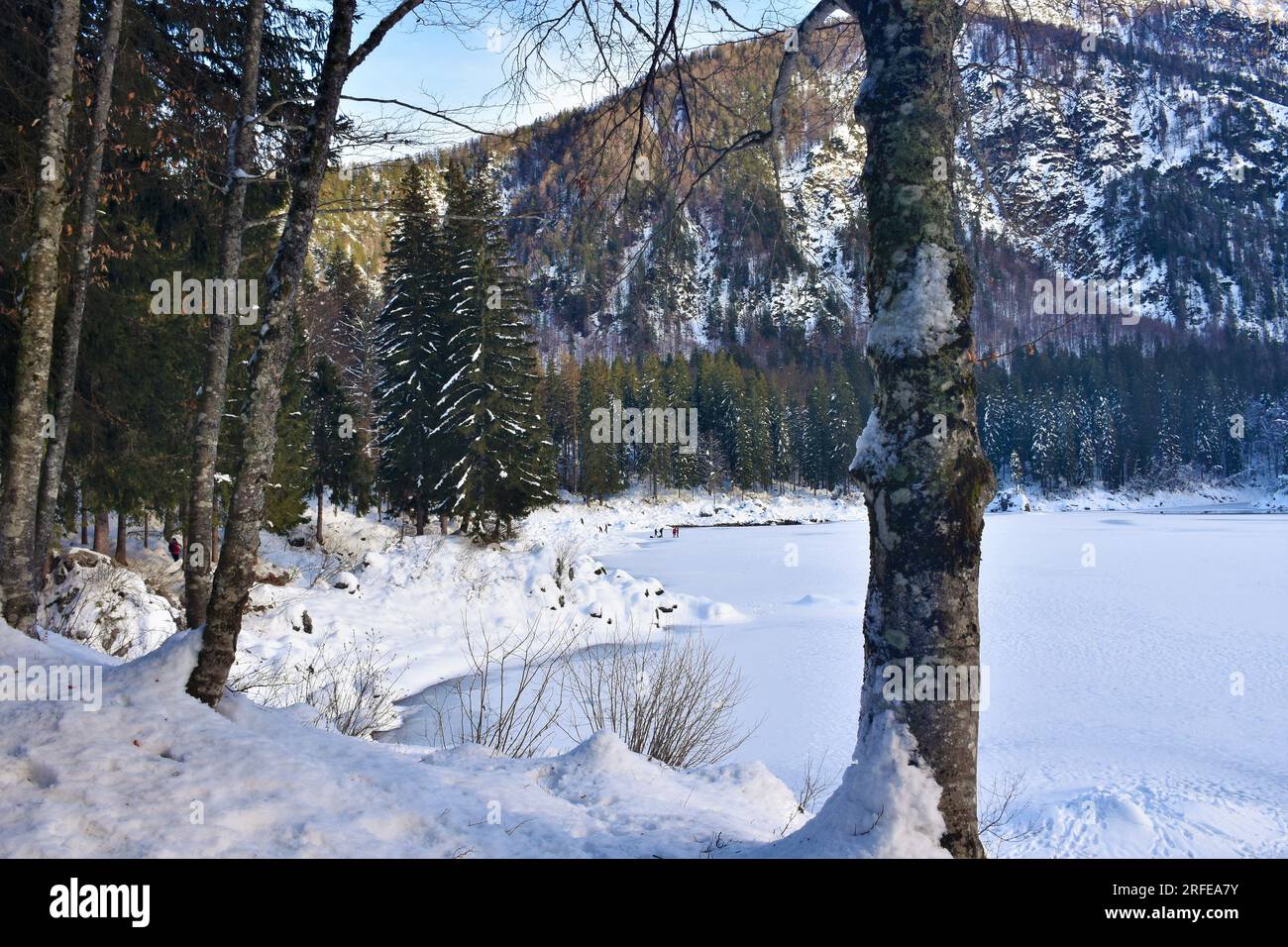 Shore of frozen lago di fusine superiore lake near Tarvisio in Friuli ...