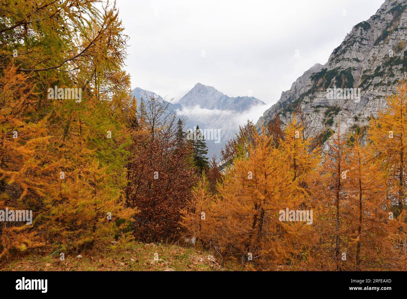 View of Veliki vrh mountain in Karavanke mountains, Gorenjska, Slovenia ...