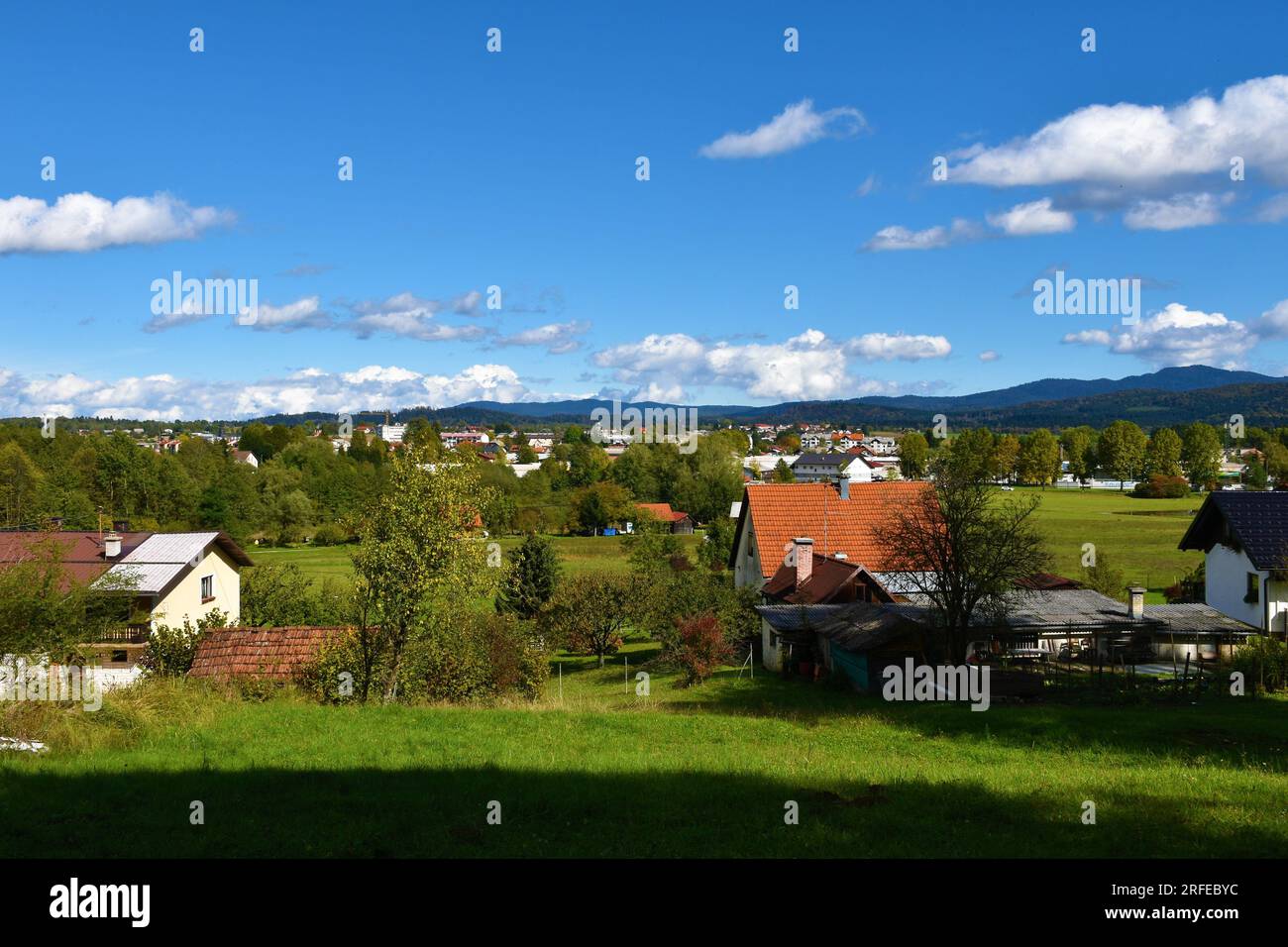 View of the town of Kocevje in Dolenjska, Slovenia and forest covered ...