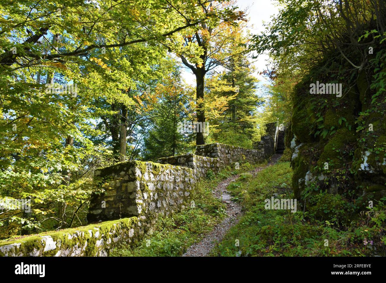 Path next to stone wall at the ruins of Friedrichstein castle at ...