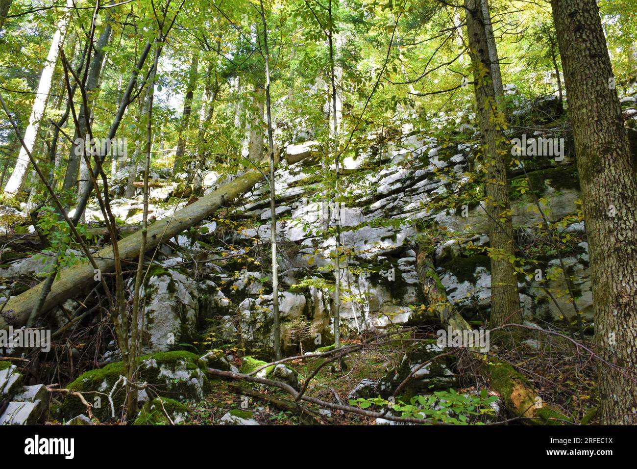 Karst slope hi-res stock photography and images - Alamy