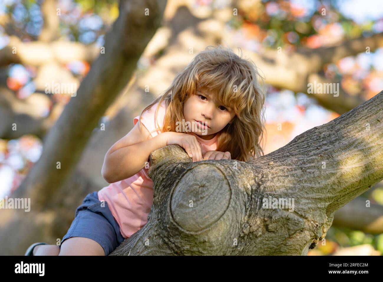 Kid climbing on a tree branch outdoor Stock Photo - Alamy