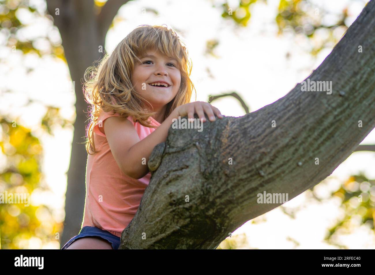 8 years old boy climbing high tree in the park. Overcoming the fear of ...