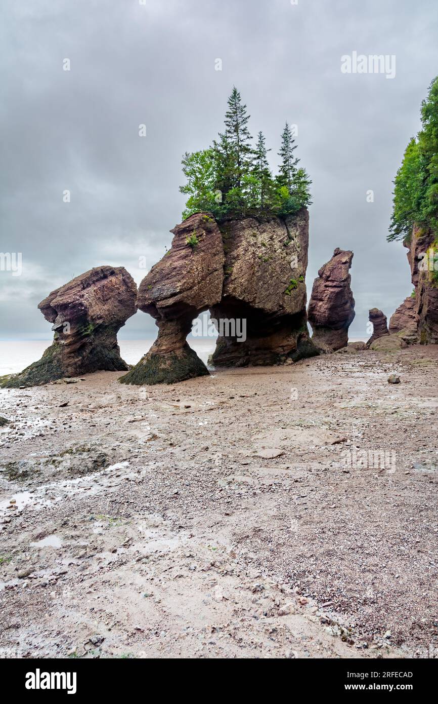 The bay of Fundy, New Brunswick.This bay is famous for having the ...