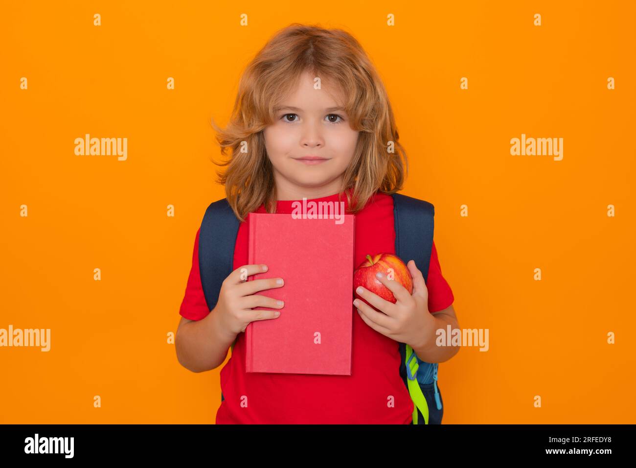 School child student learning, study english language at school ...