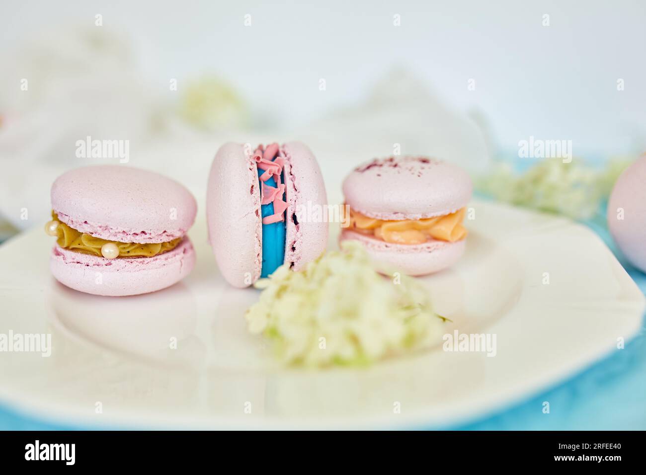 Assorted sweet french pink macarons on blue background with fresh ...