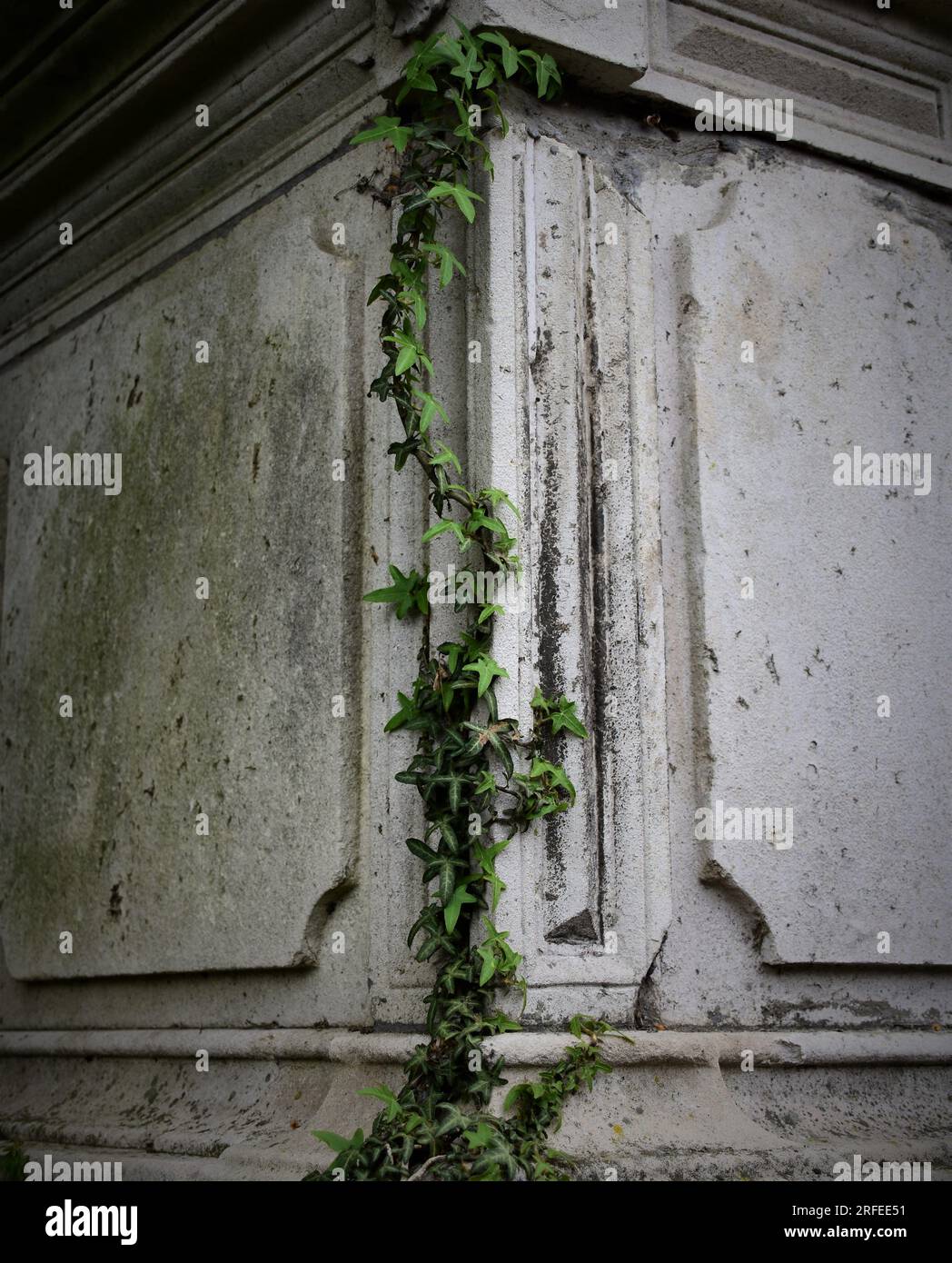 Front angle of a vine covered crypt Stock Photo - Alamy
