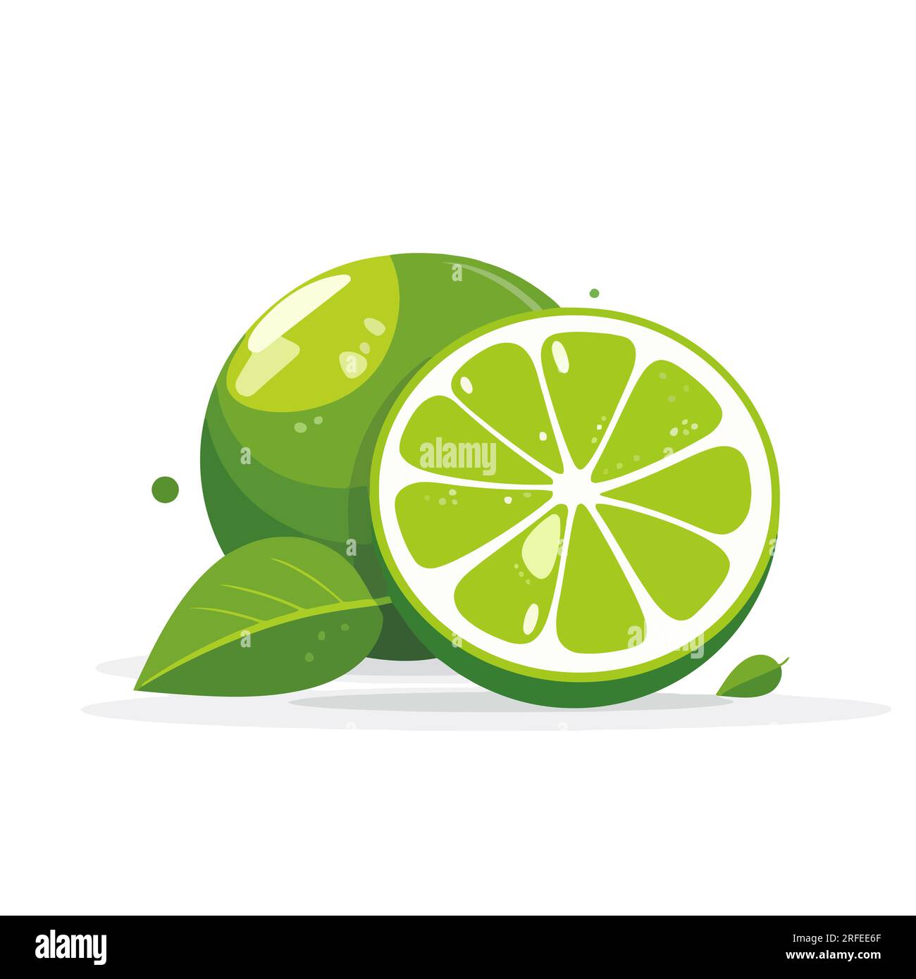 Green lime. Lime image isolated. Sliced lemon in flat design. Vector ...