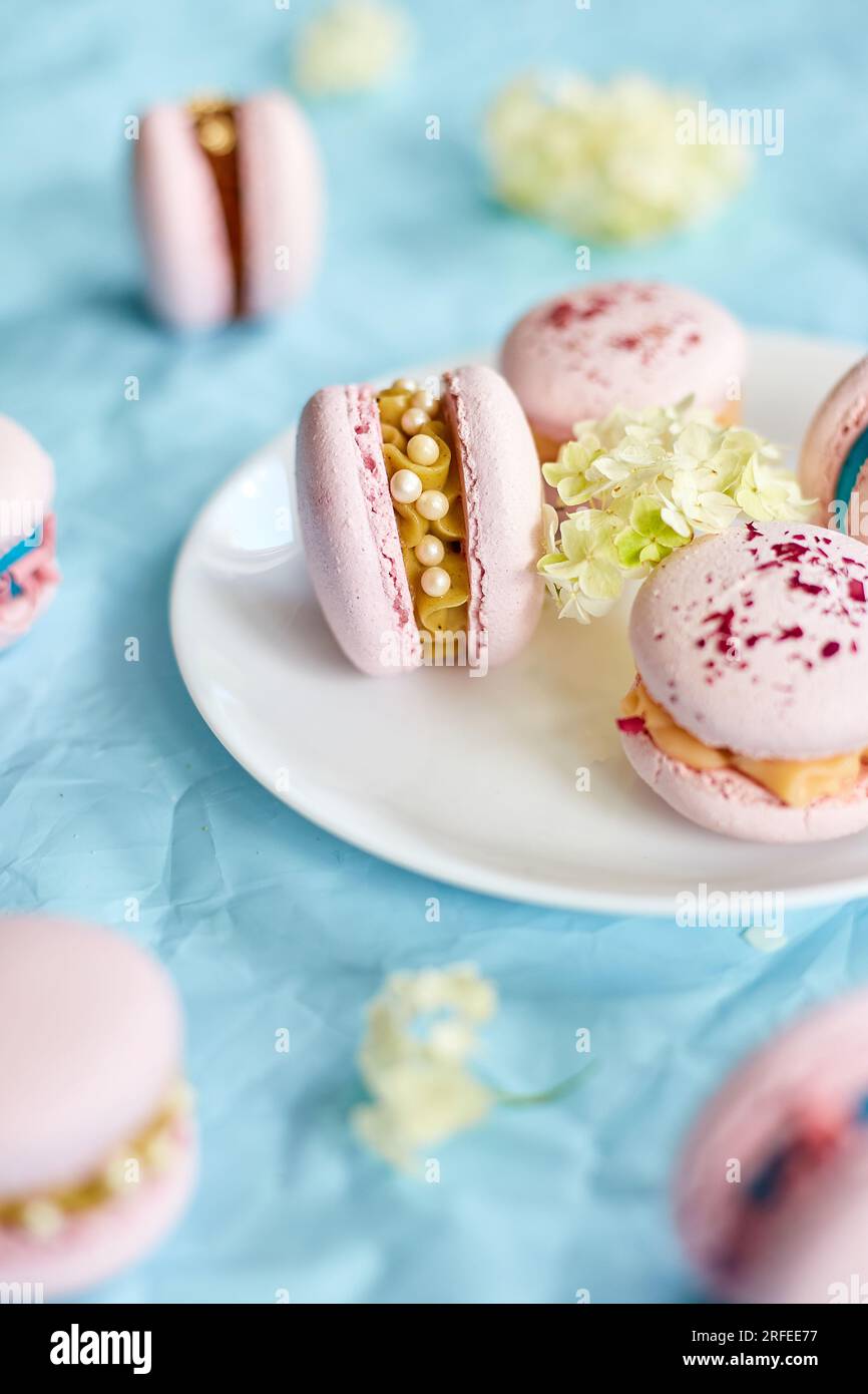 Assorted sweet french pink macarons on blue background with fresh ...