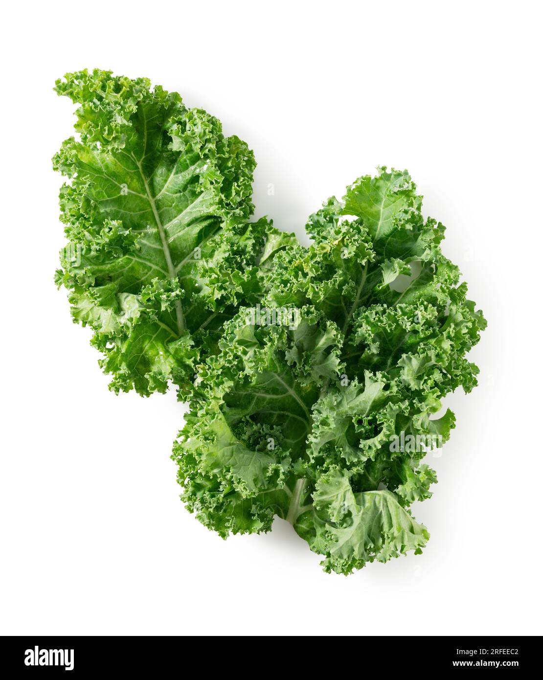 Kale top view Cut Out Stock Images & Pictures - Alamy